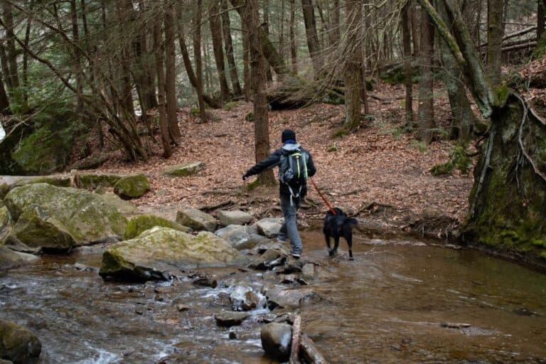 Exploring Breakneck Falls at McConnells Mills State Park - PA on Pause