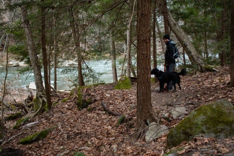 Exploring Breakneck Falls at McConnells Mills State Park - PA on Pause
