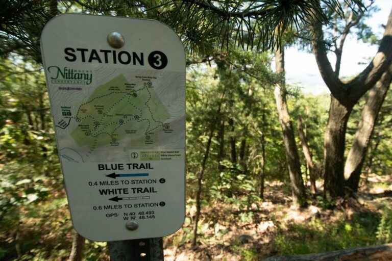 Hiking Mount Nittany: A Must-Do Activity In State College, PA - PA on Pause