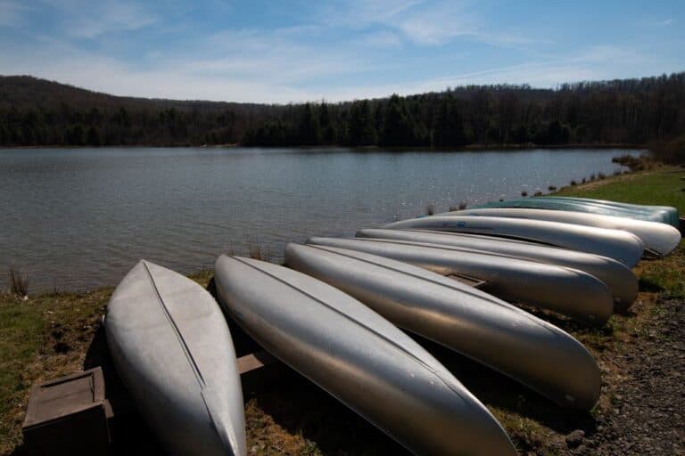 Chapman State Park: A Hidden Gem Surrounded by the Allegheny National ...