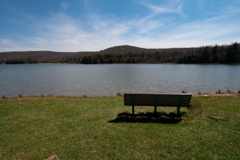 Chapman State Park: A Hidden Gem Surrounded by the Allegheny National ...