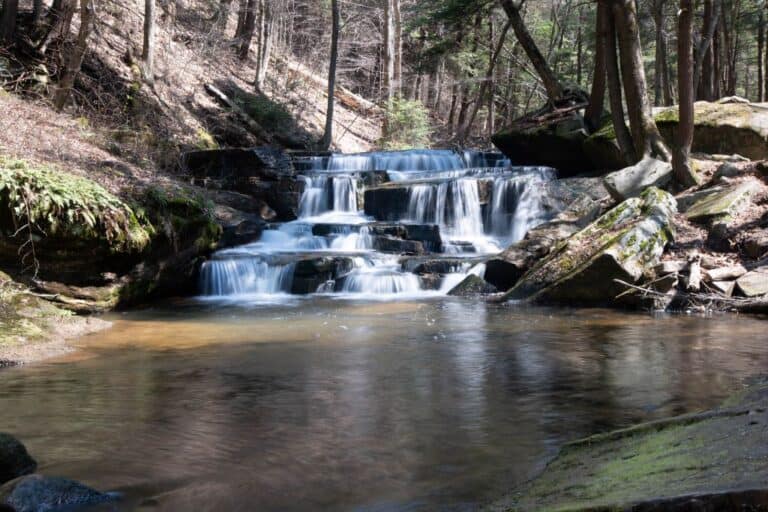 4 Allegheny National Forest Waterfalls You Must Visit - PA on Pause