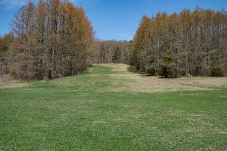 Chapman State Park: A Hidden Gem Surrounded by the Allegheny National ...