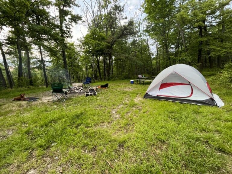 Tioga State Forest Camping: What You Really Need to Know - PA on Pause