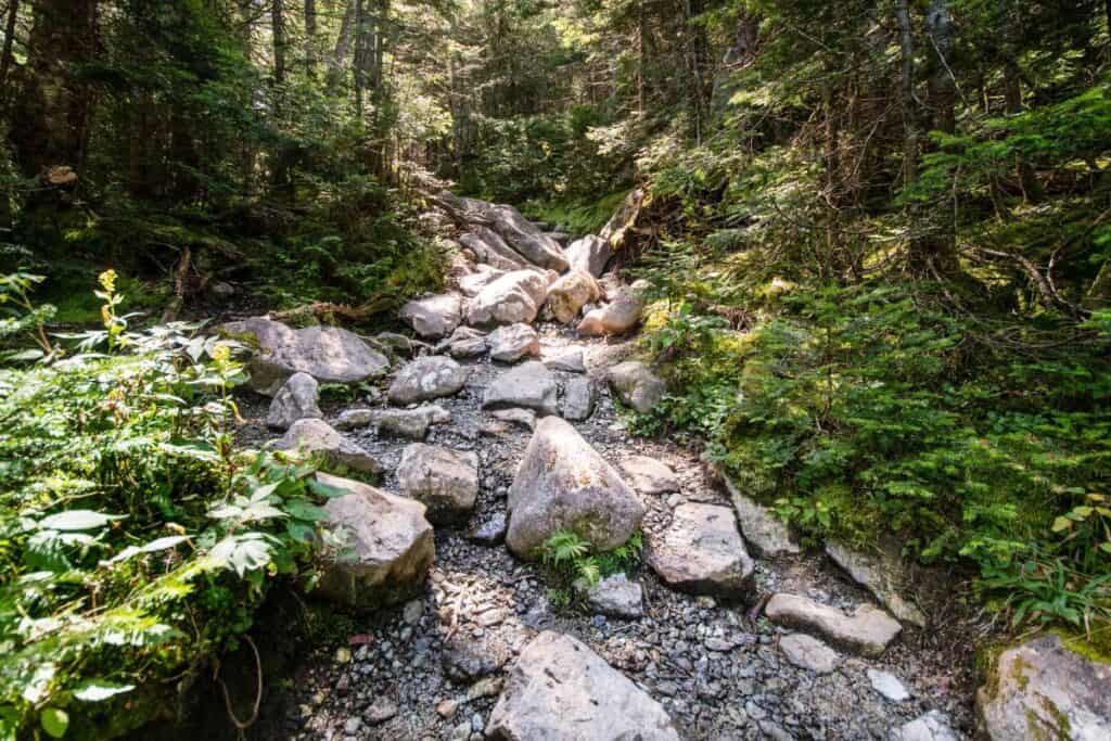 Hiking Mount Marcy: Ultimate Guide to Day Hiking New York's Tallest ...