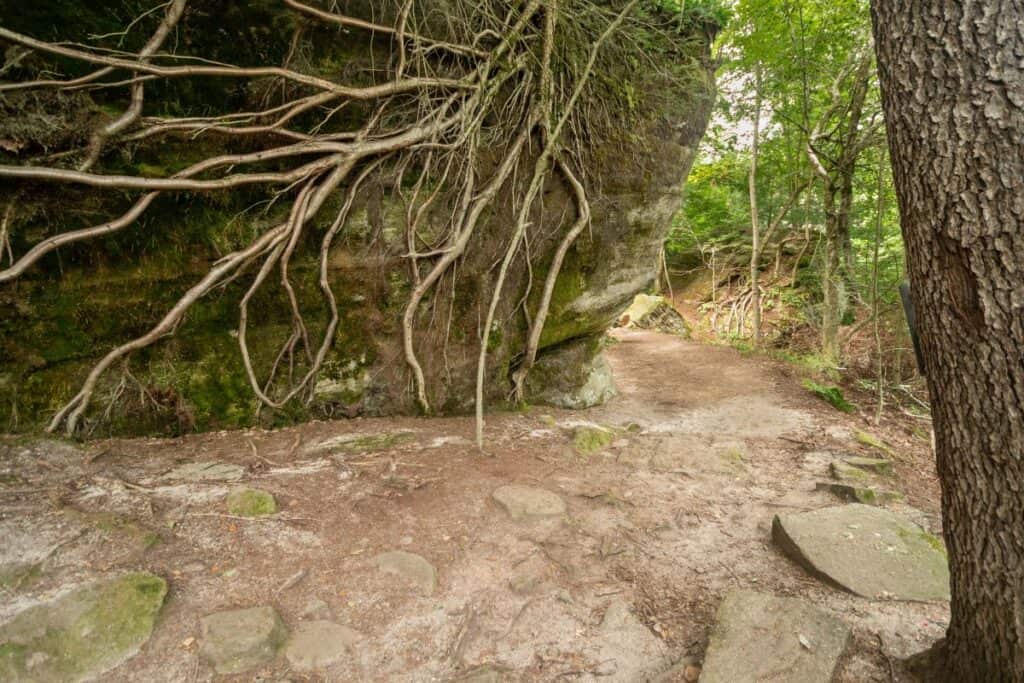 Exploring Panama Rocks Scenic Park Trails: A Hidden Gem Rock City Near ...